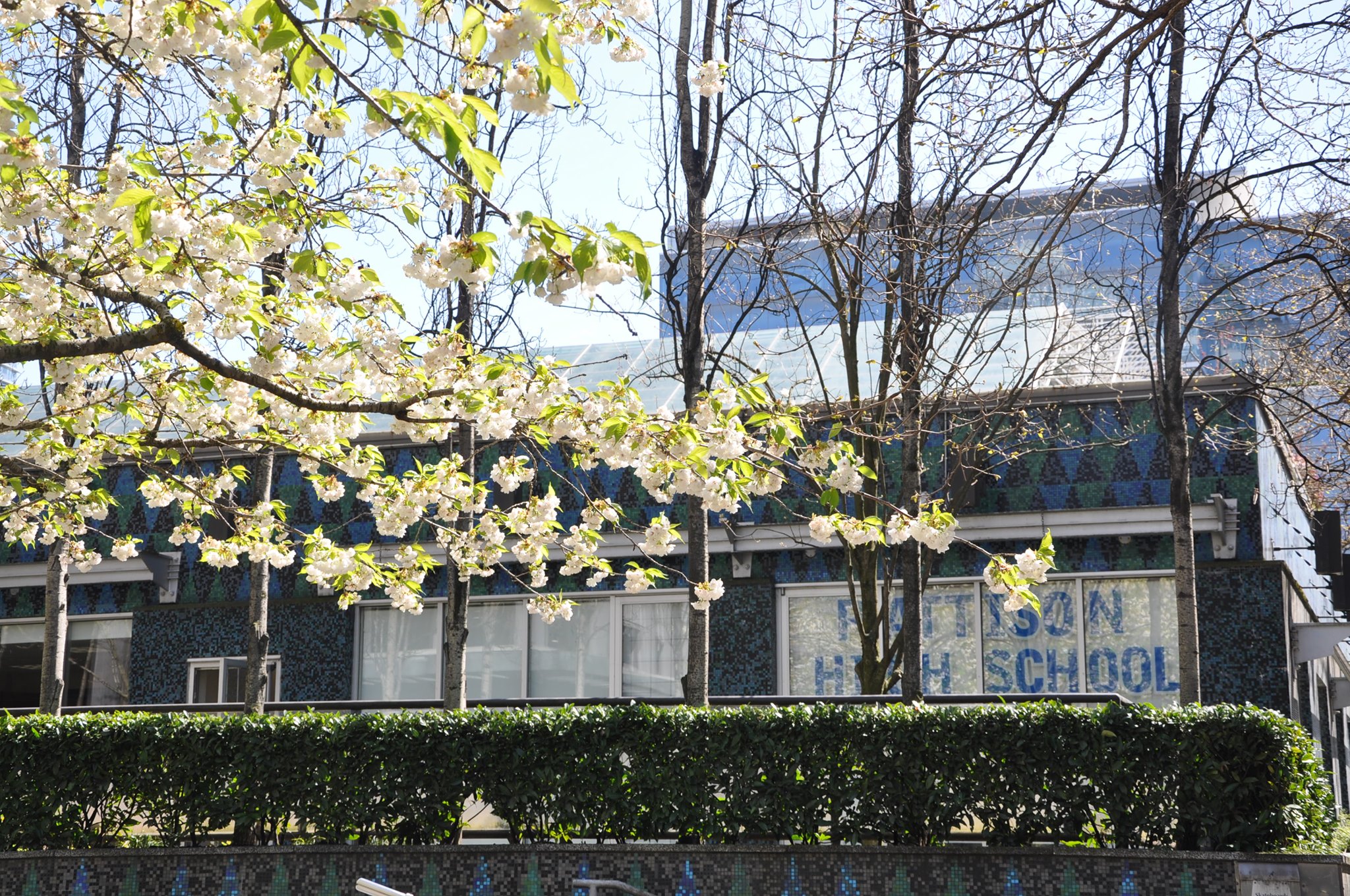 Pattison High School навчання за кордоном (Київ) - відгуки, ціни | Mudra